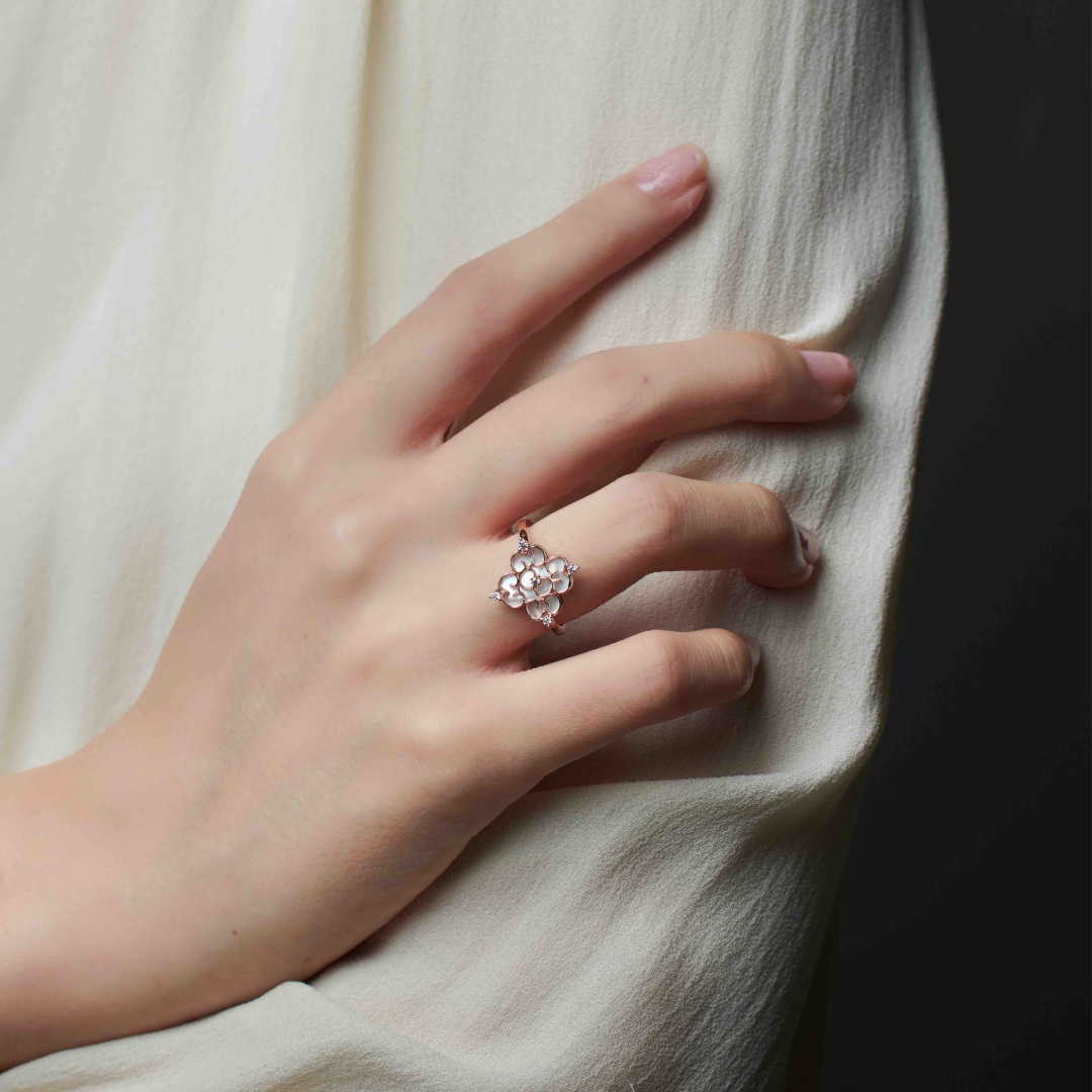 Shine Set – Carrie K.